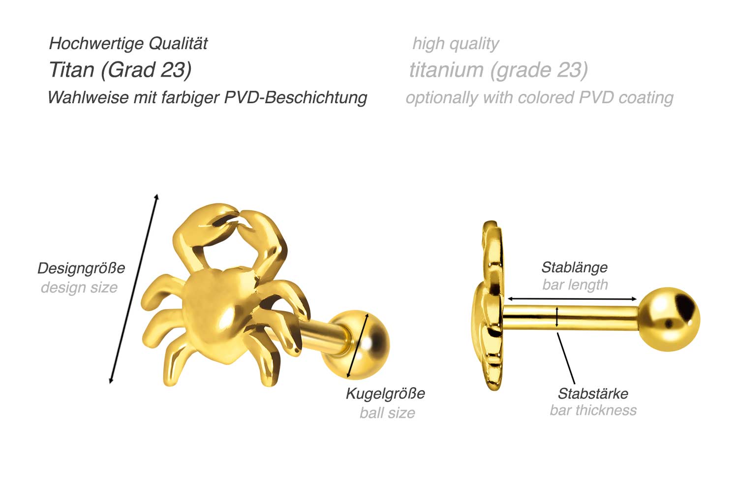 Titan Ohrpiercing KRABBE | PIERCINGLINE